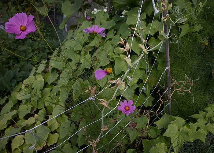 Viewfinder — Casey Deming