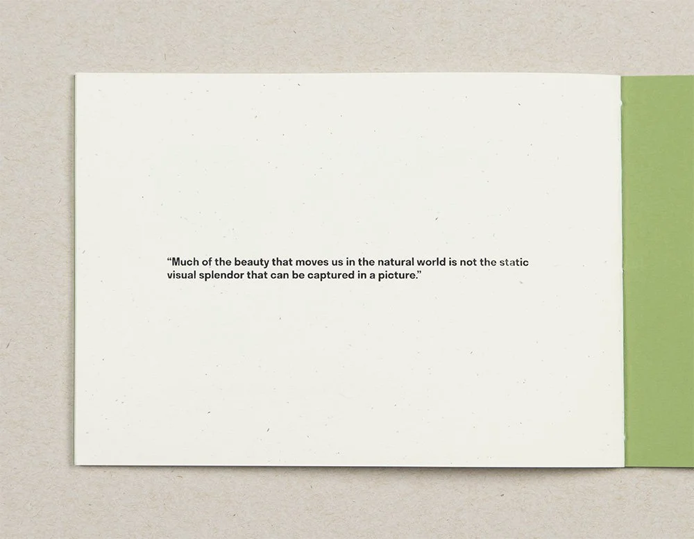 Wayfinder — Casey Deming