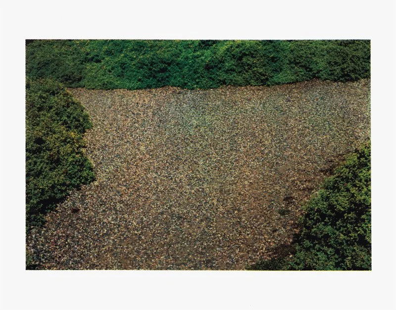 Shop — Casey Deming