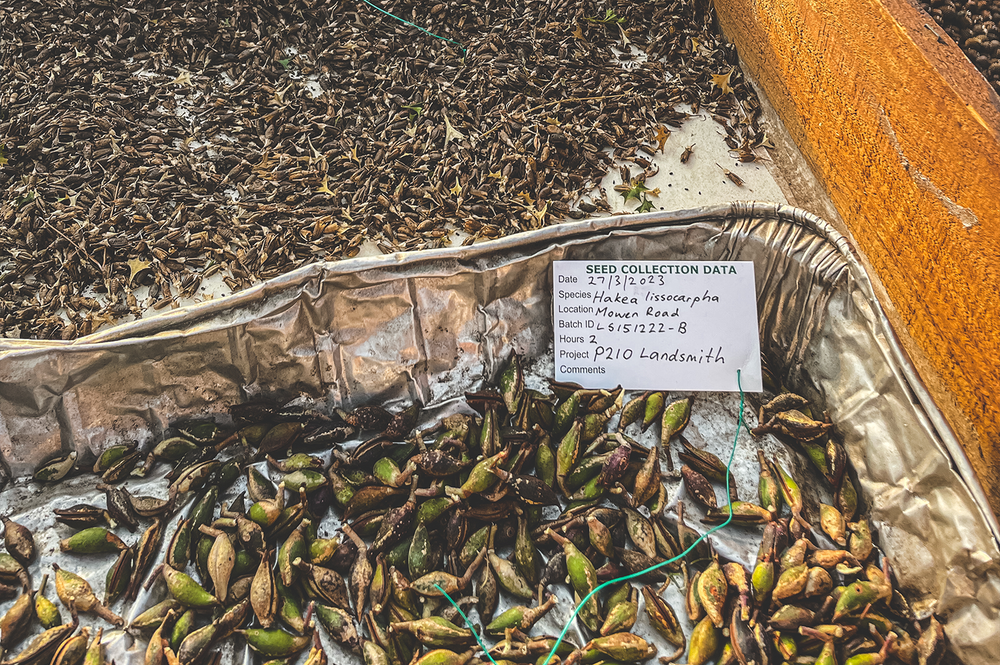 Riparian Areas Planting — Wallcliffe House Blog