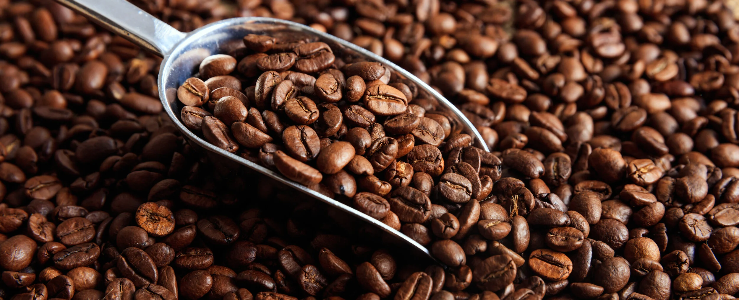 Alinea Coffee Roasters