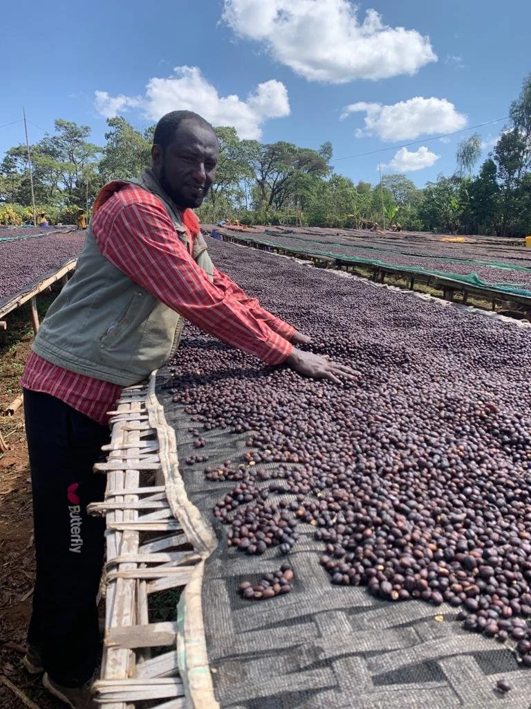 Alinea Coffee Roasters