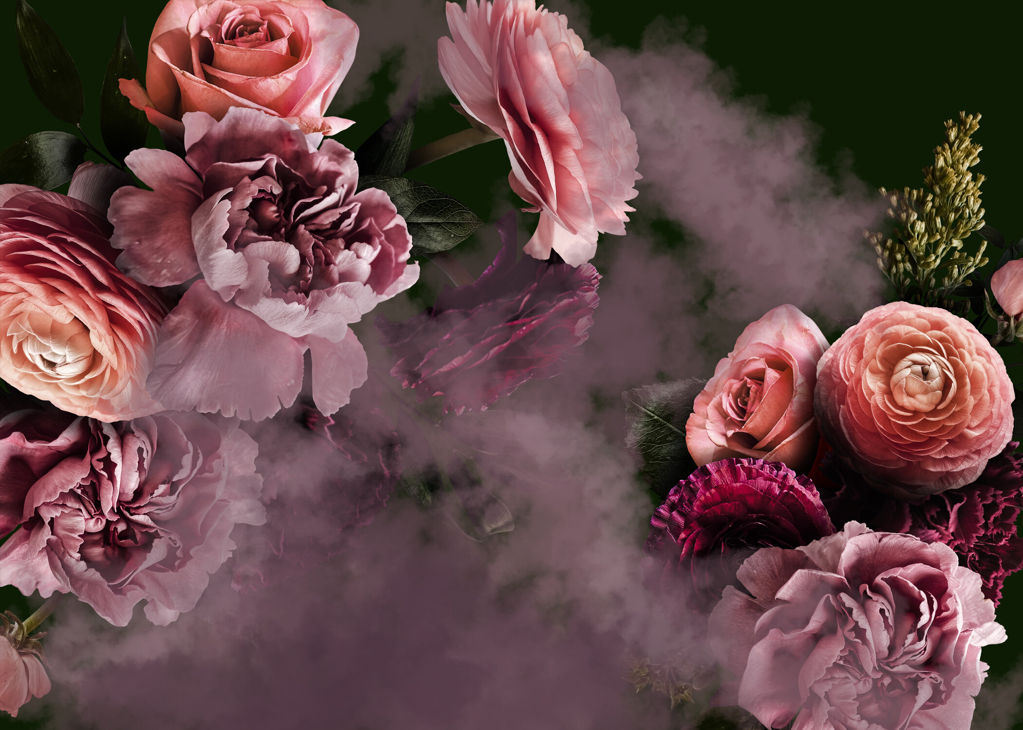 FATED STUDIO | Freelance Website & Graphic Design in Springfield, MO