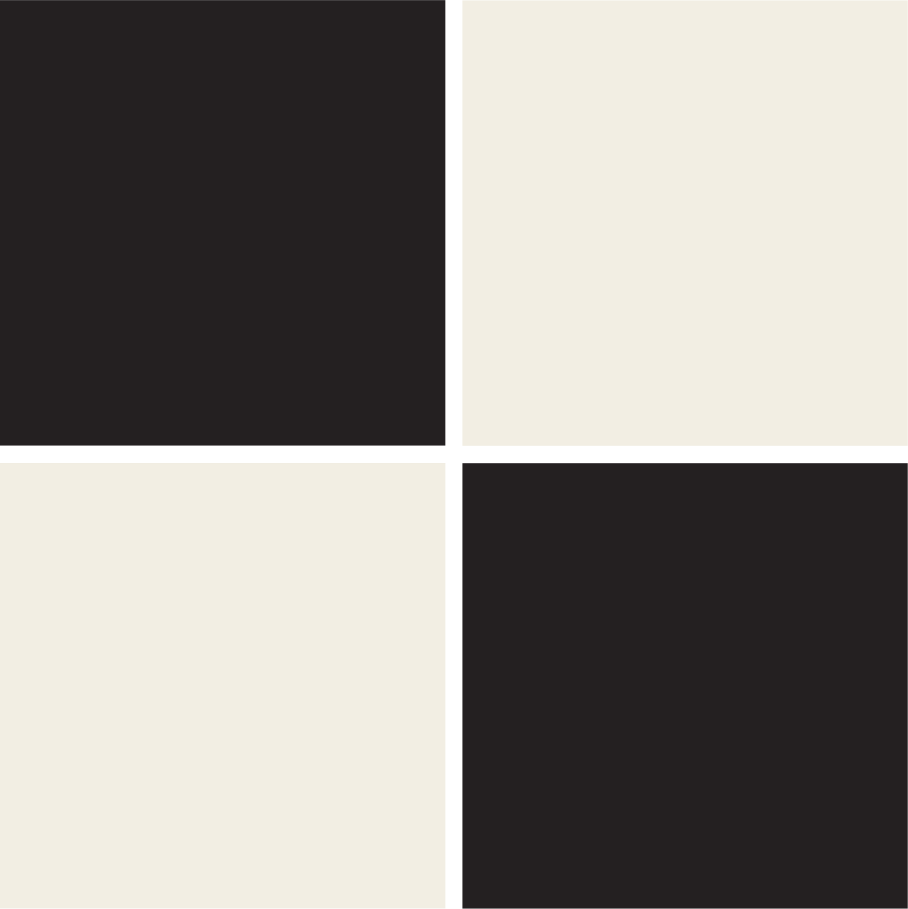 FATED STUDIO | Graphic Design, Website Design, & Visual Media in ...