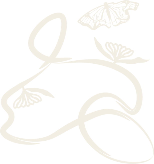 FATED STUDIO | Graphic Design, Website Design, & Visual Media in ...