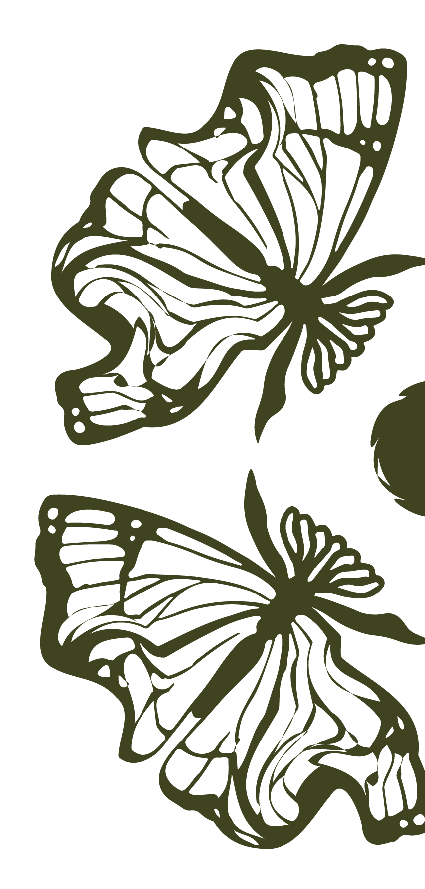 FATED STUDIO | Graphic Design, Website Design, & Visual Media in ...