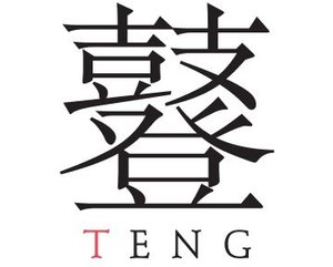 The TENG Ensemble — The TENG Company
