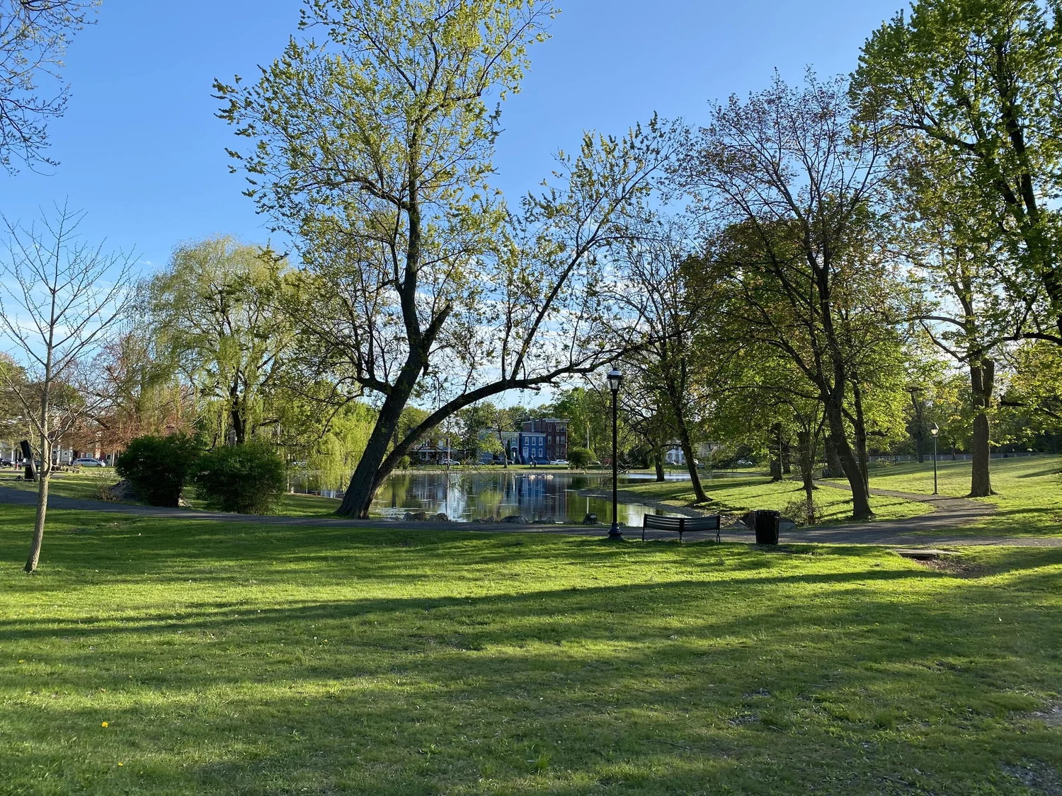 Downing Park Conservancy