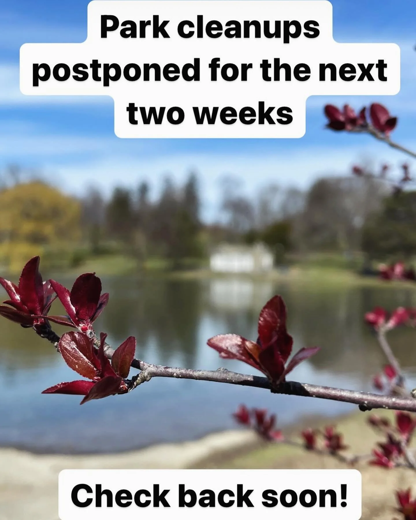 Downing Park Conservancy