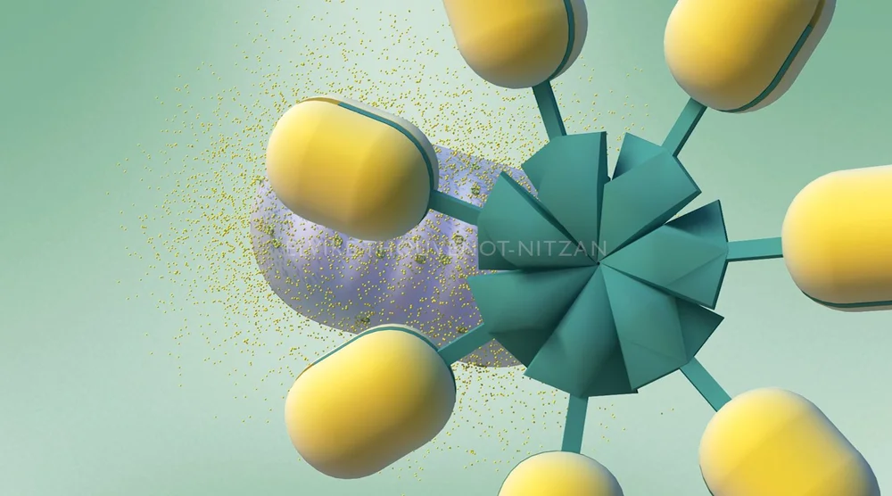 What is Apoptosis? An Educational 3D Animation — ELVIRE THOUVENOT