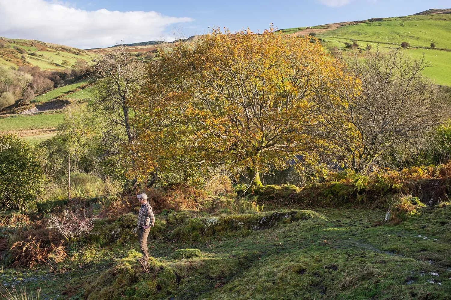 Wildlife and Ecology breaks — Cefn Coch Farm