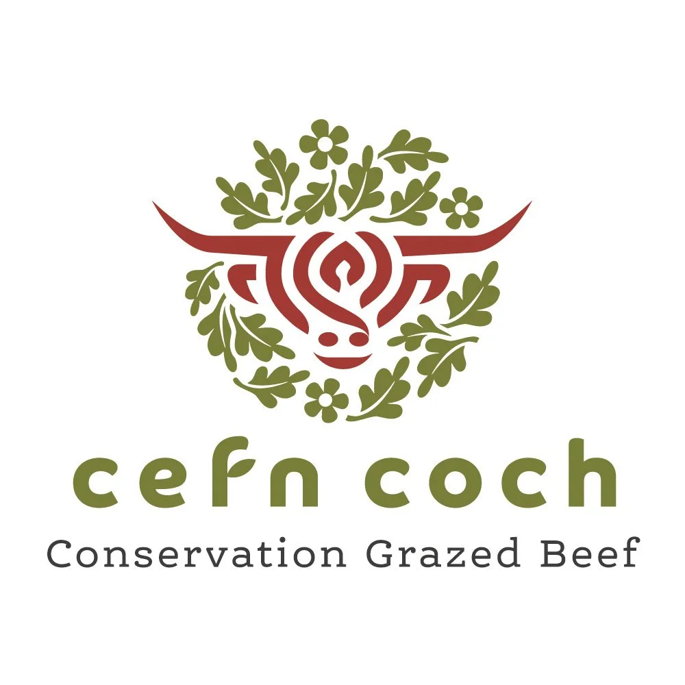 Welsh Beef Box — Cefn Coch Farm