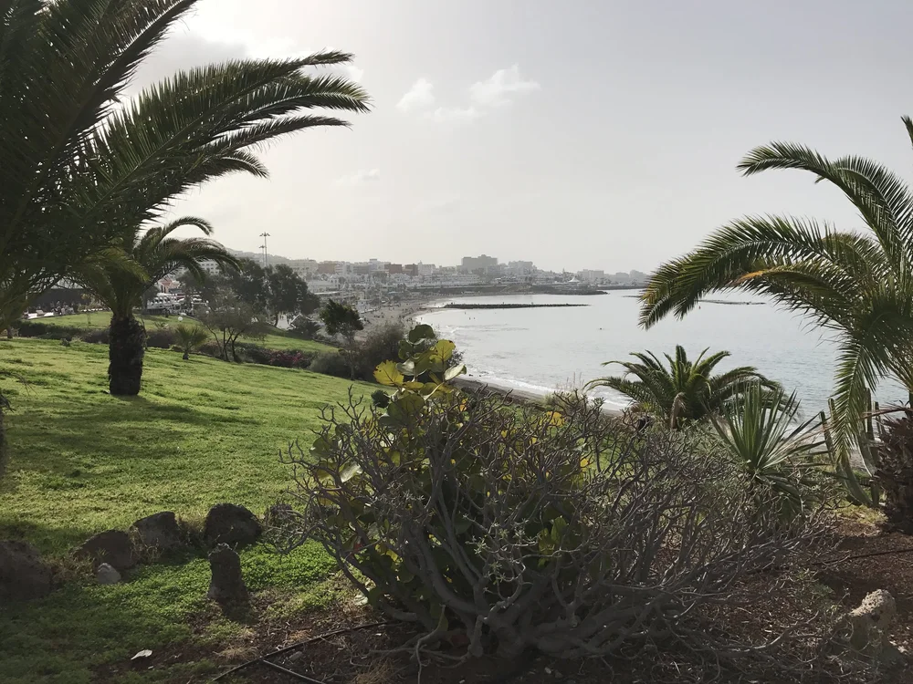 Programme — Chiltern Edge Horticultural Society