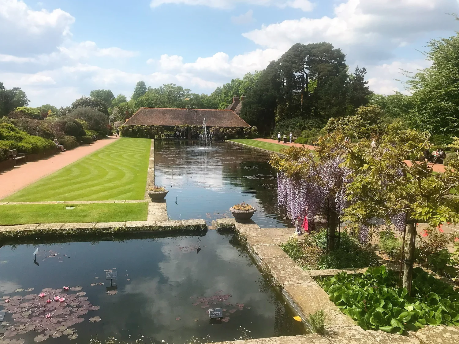 Programme — Chiltern Edge Horticultural Society