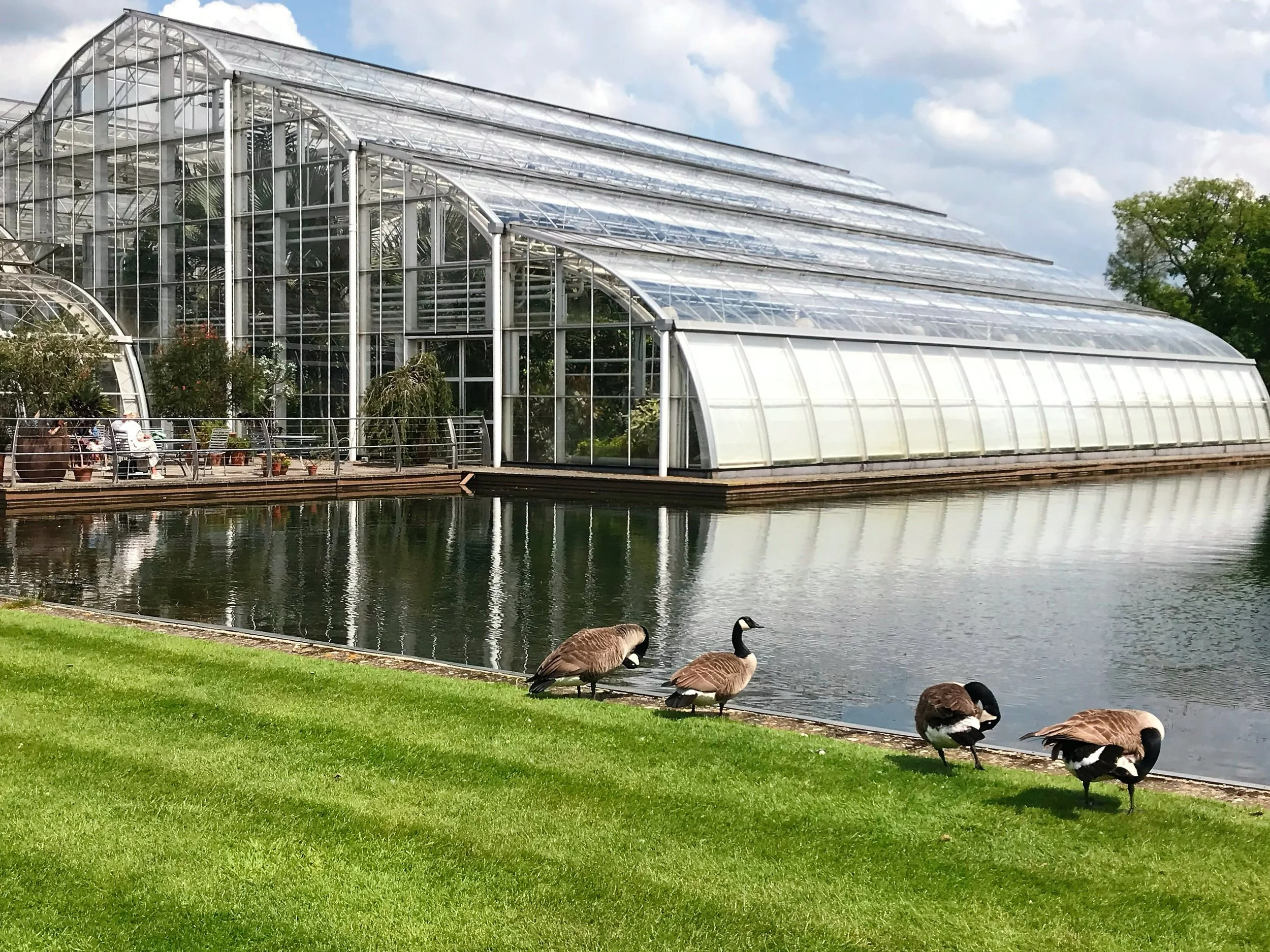 Coach trip photos — Chiltern Edge Horticultural Society