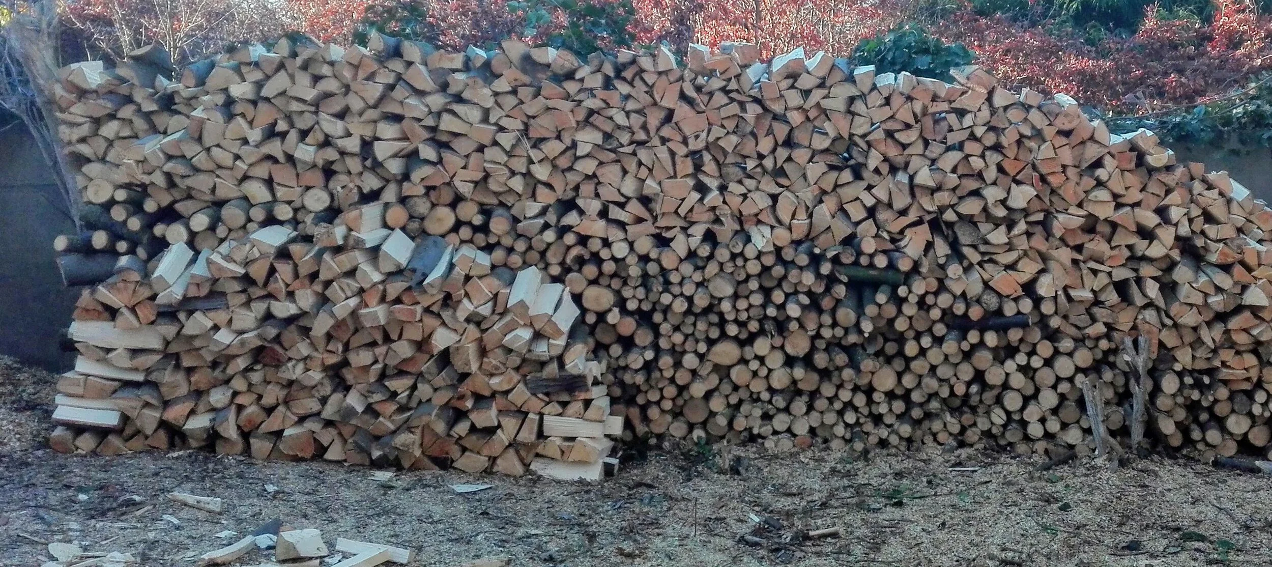 Bomen vellen — Mathi Tuinen