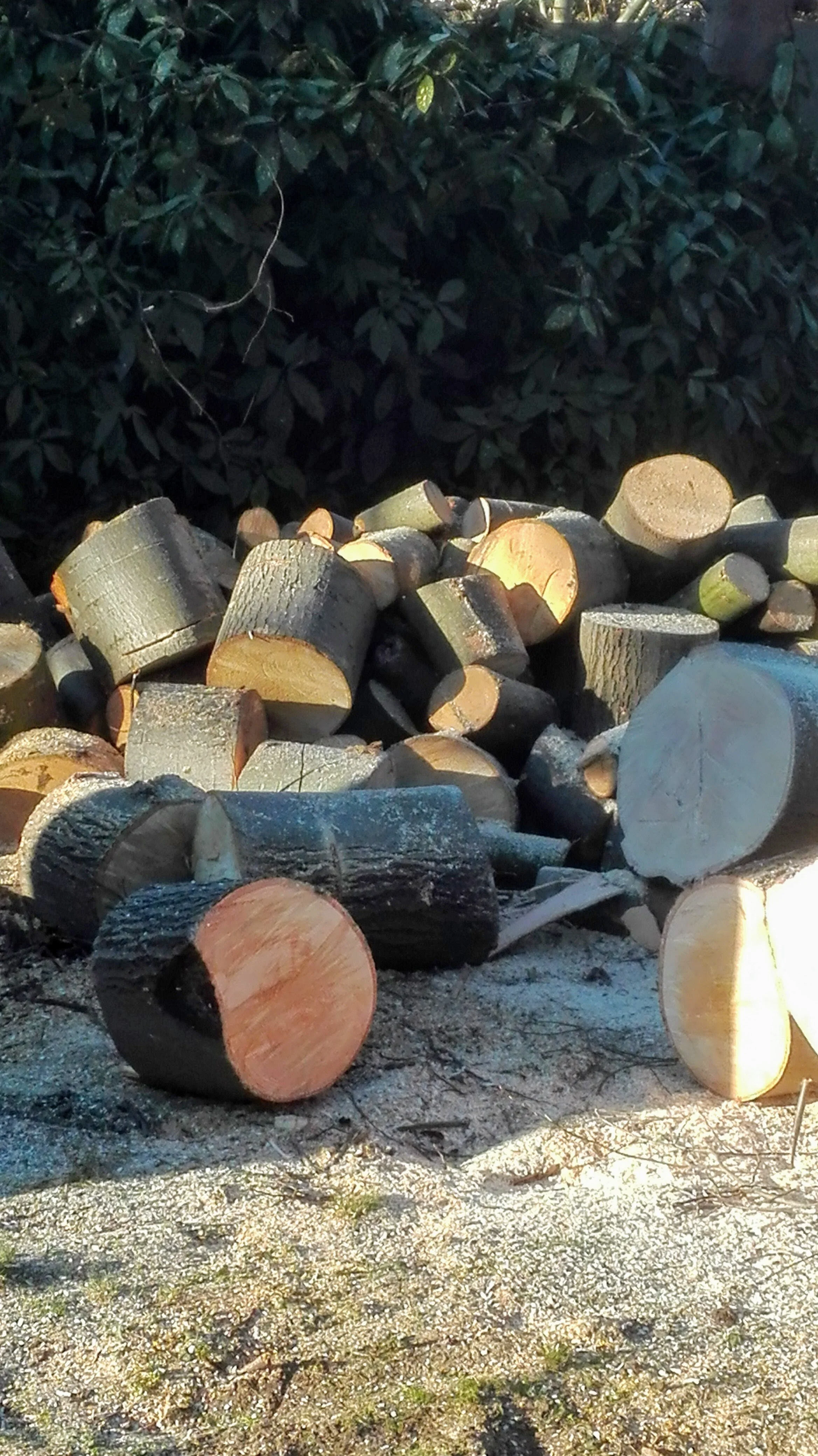 Bomen vellen — Mathi Tuinen