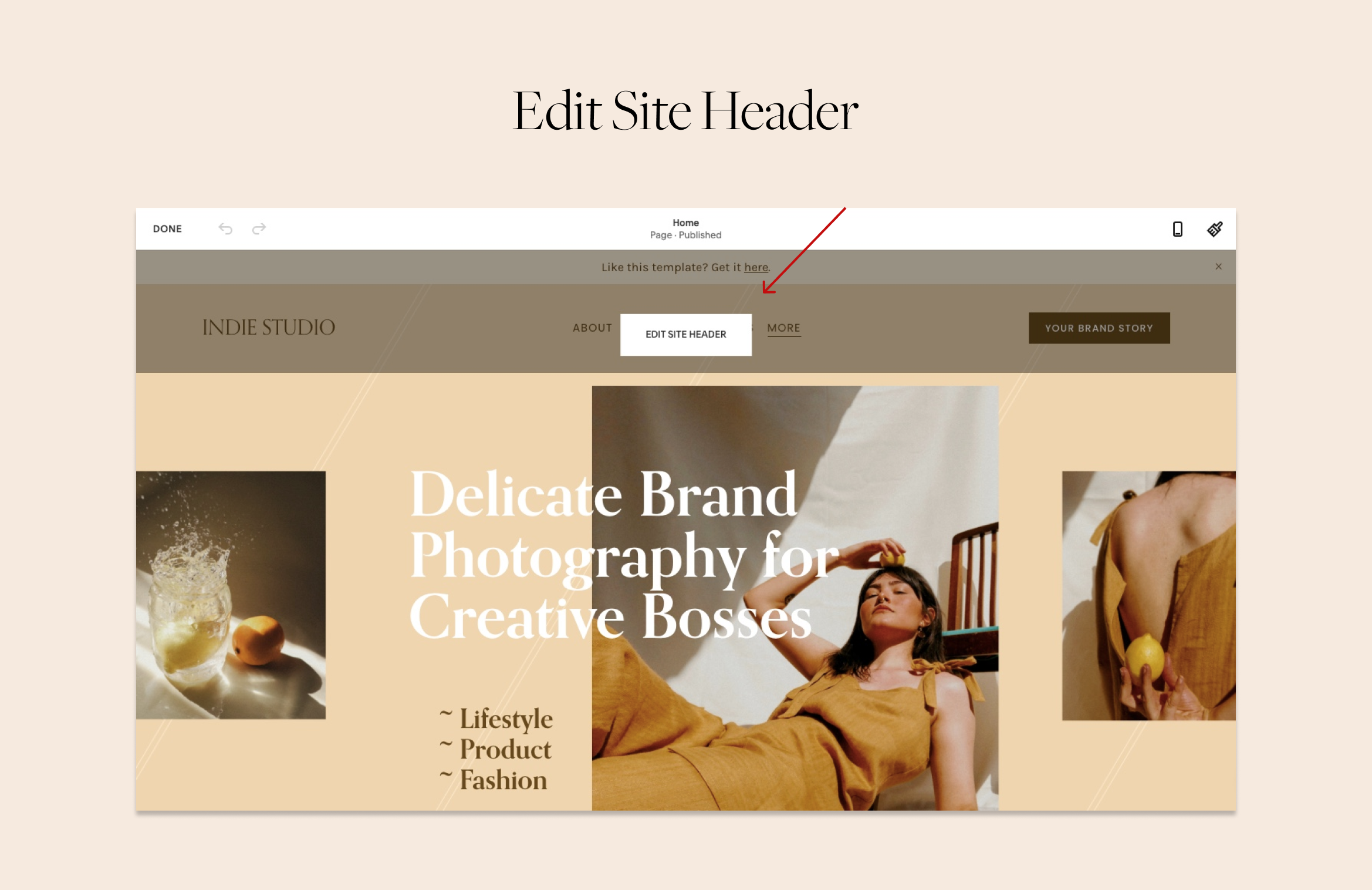 How to Get a Crisp Header Logo in Squarespace 7.1 — Applet Studio