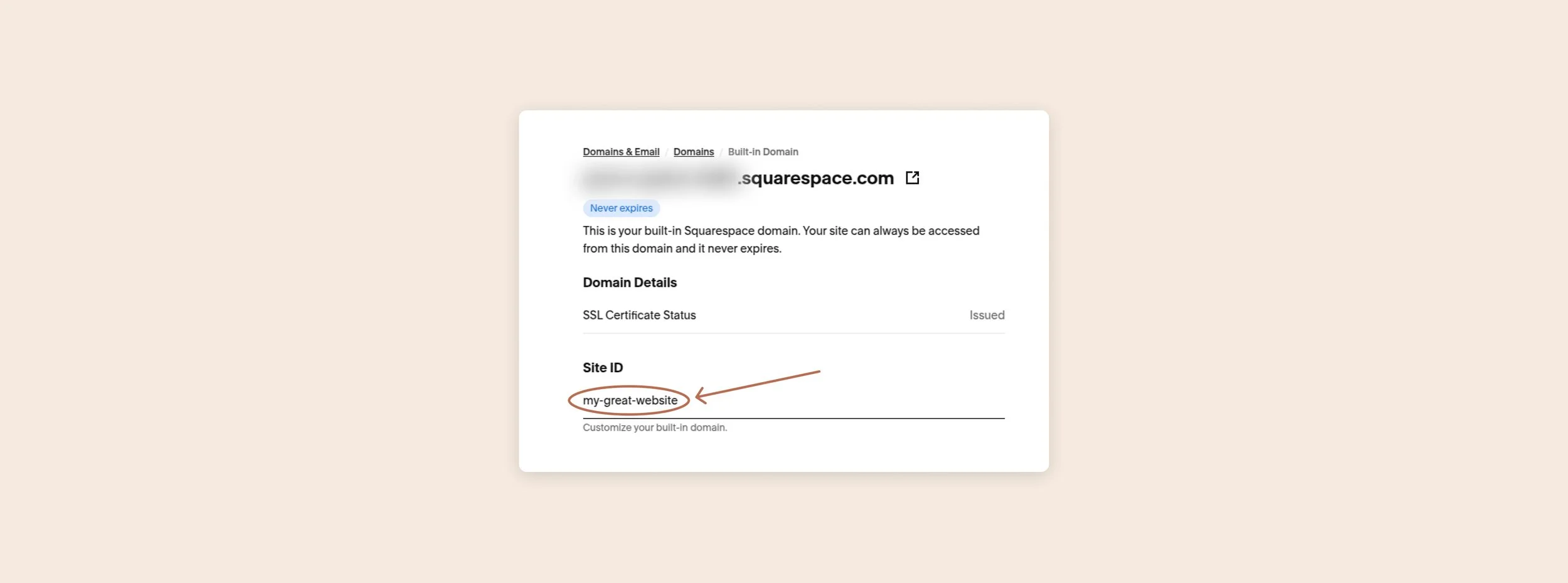 How to Manage your Domain Name with Squarespace: Buy, Transfer, Change, and Even Sell — Applet ...