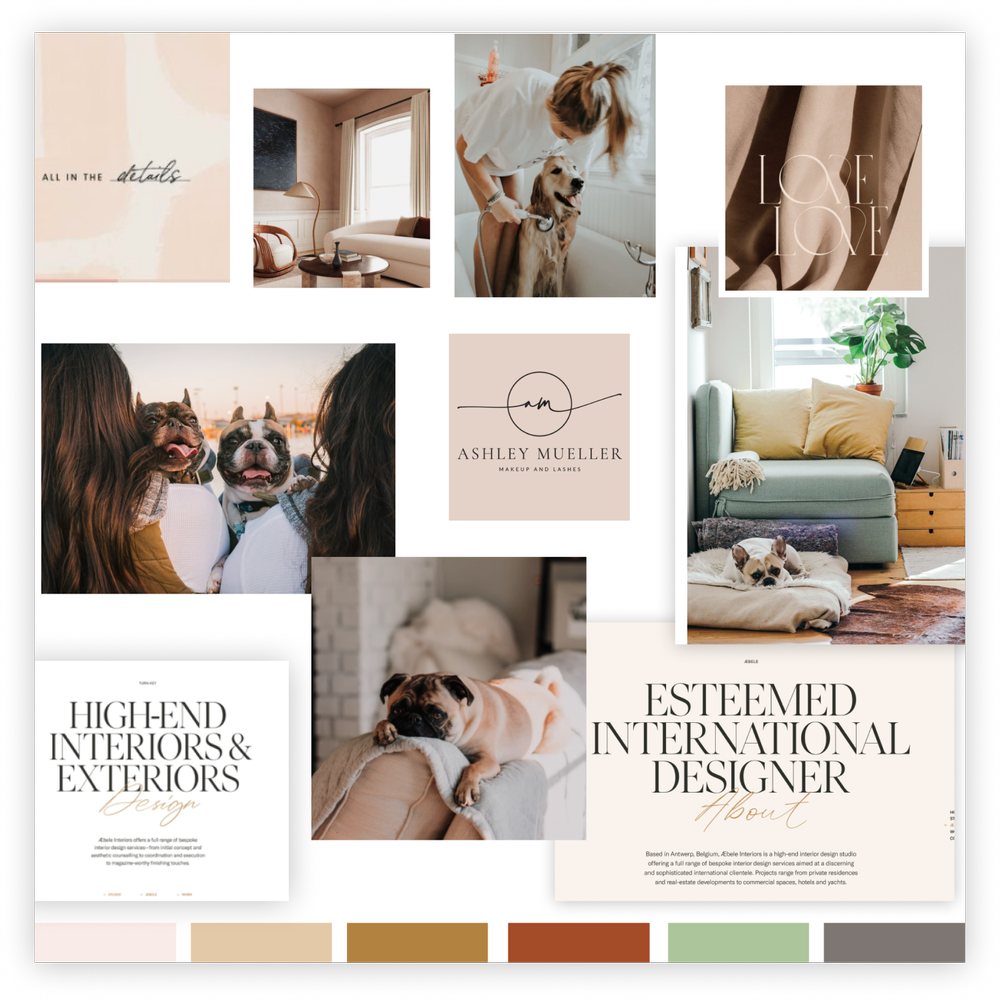 Custom Squarespace Website Design for Elite French Bulldog Breeder ...