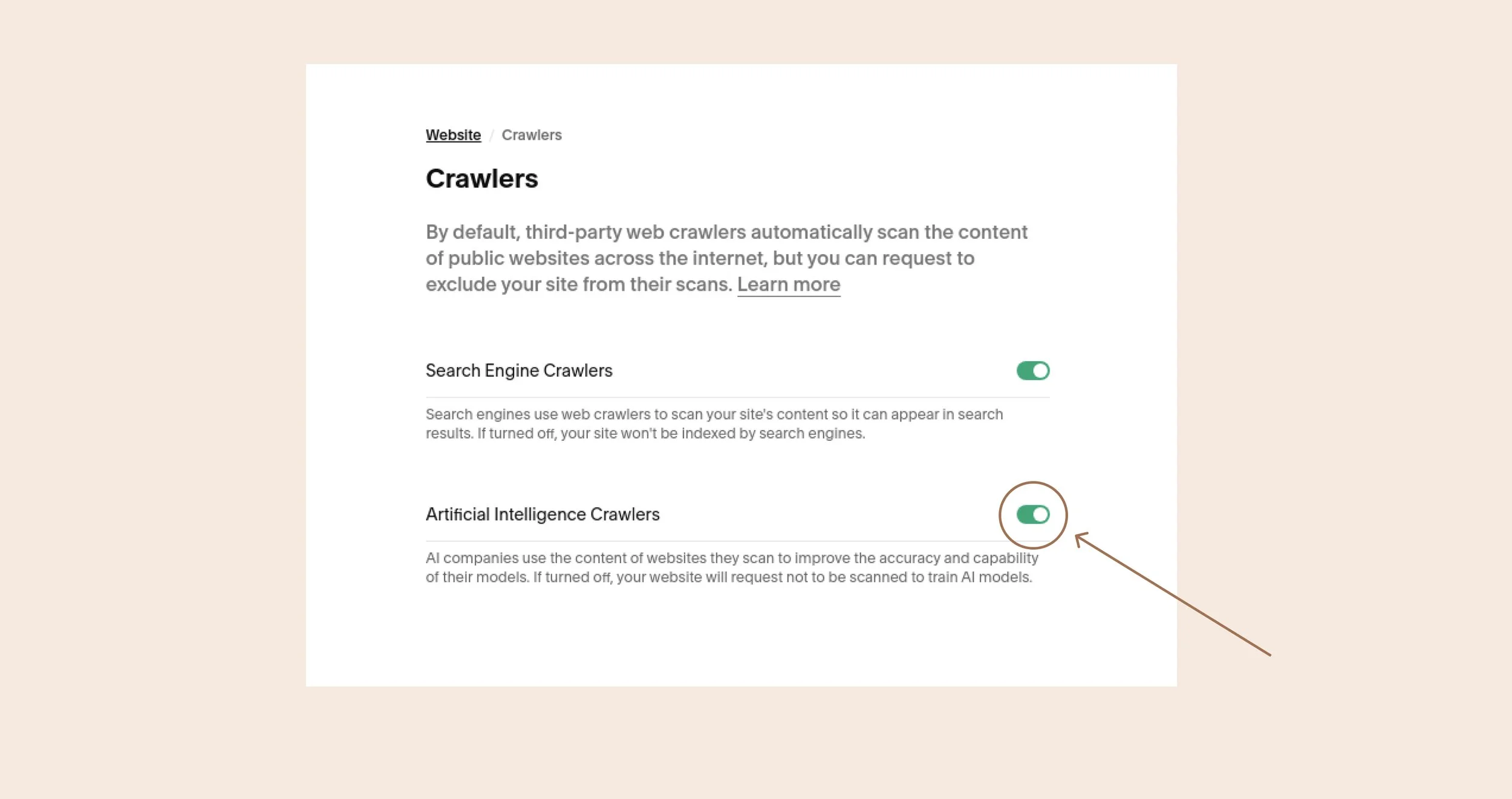 How to Exclude AI Crawlers from your Squarespace Website — Applet Studio