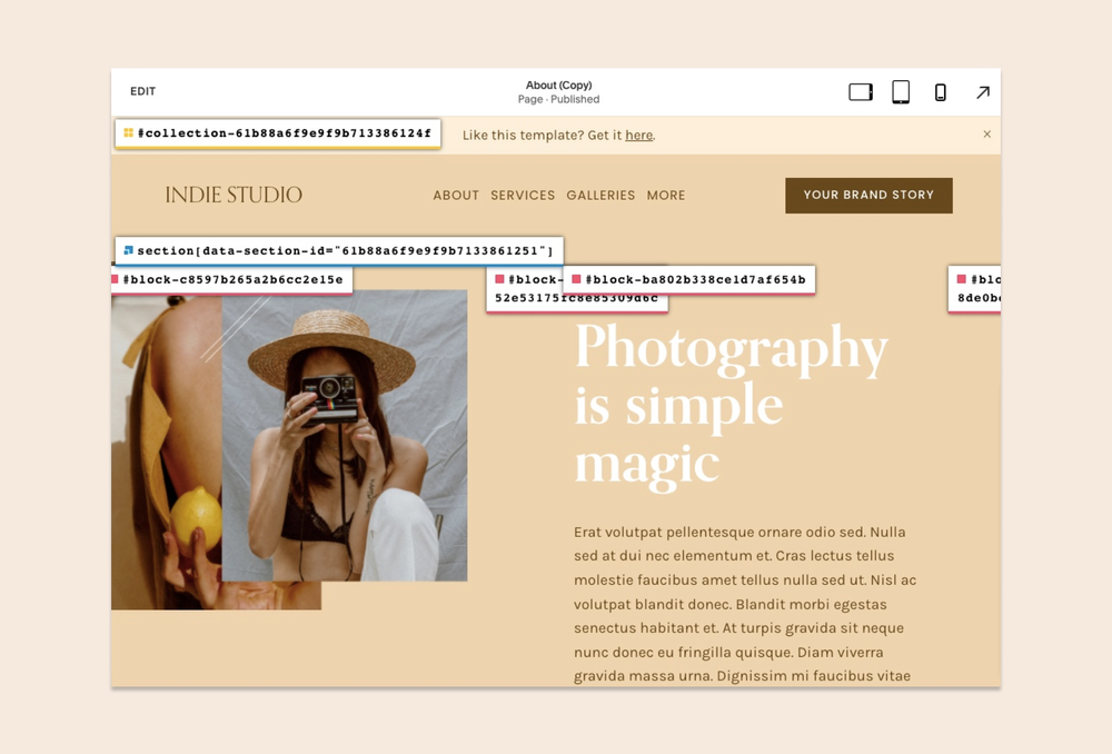 How to Add More White Space to Your Layout in Squarespace — Applet Studio
