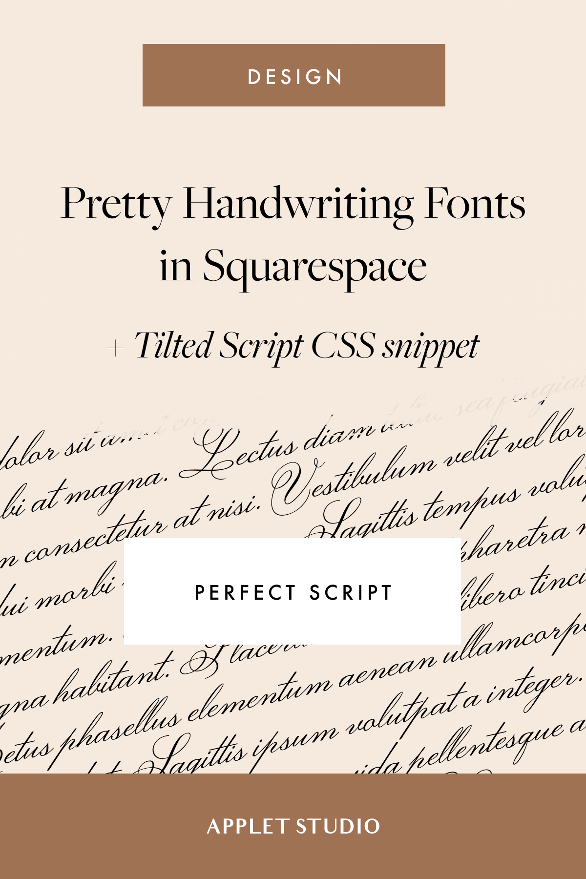 Pretty Handwriting Fonts in Squarespace + Tilted Script CSS snippet ...