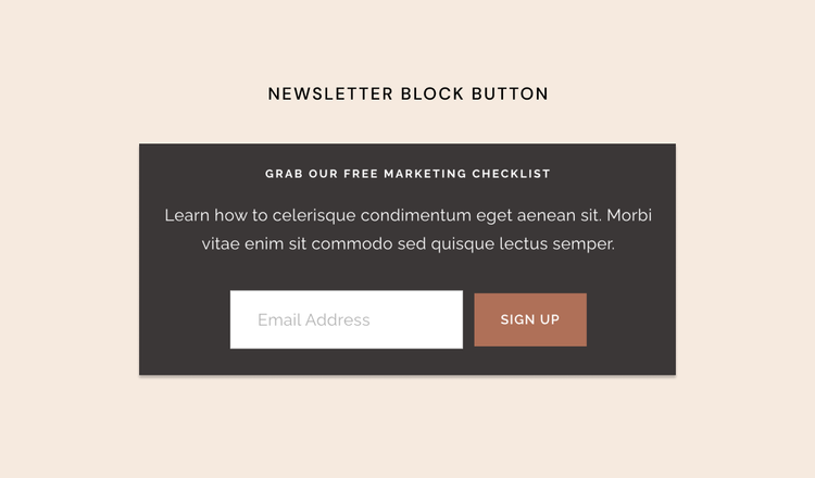 Fix Up Your Squarespace 7.1 Buttons (CSS Snippets Inside) — Applet Studio
