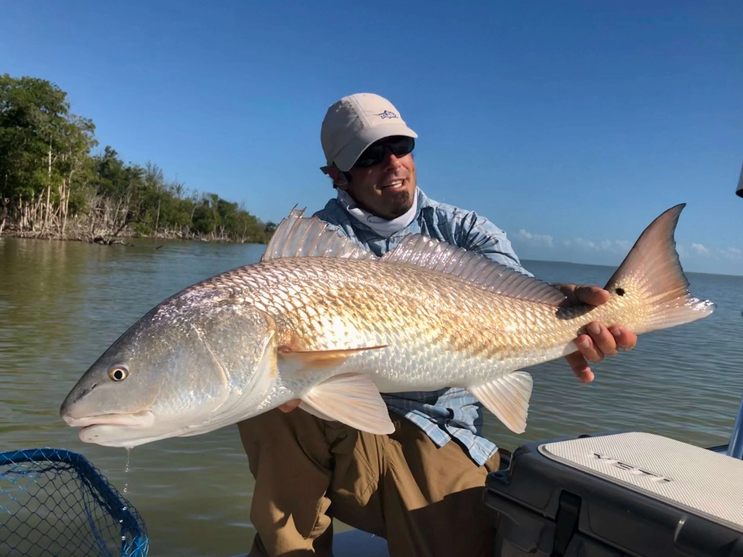 Red Drum Redfish Fishing Florida Keys