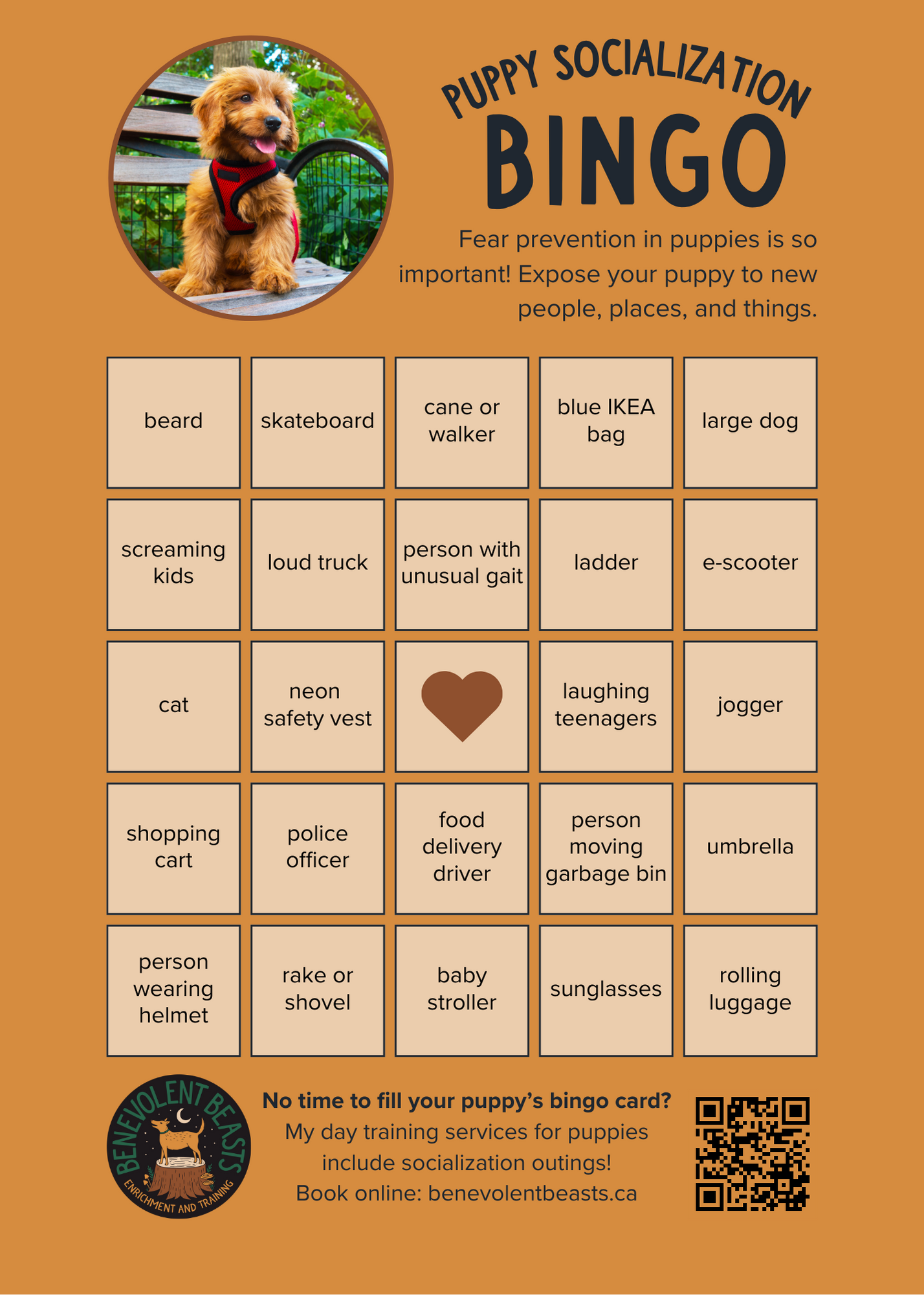 Puppy training — Benevolent Beasts | Dog Training & Behaviour | Toronto, ON