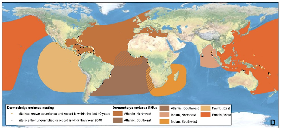 Sea Turtle Population Map