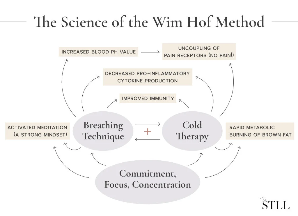 The STLL | Wim Hof Method Explained.