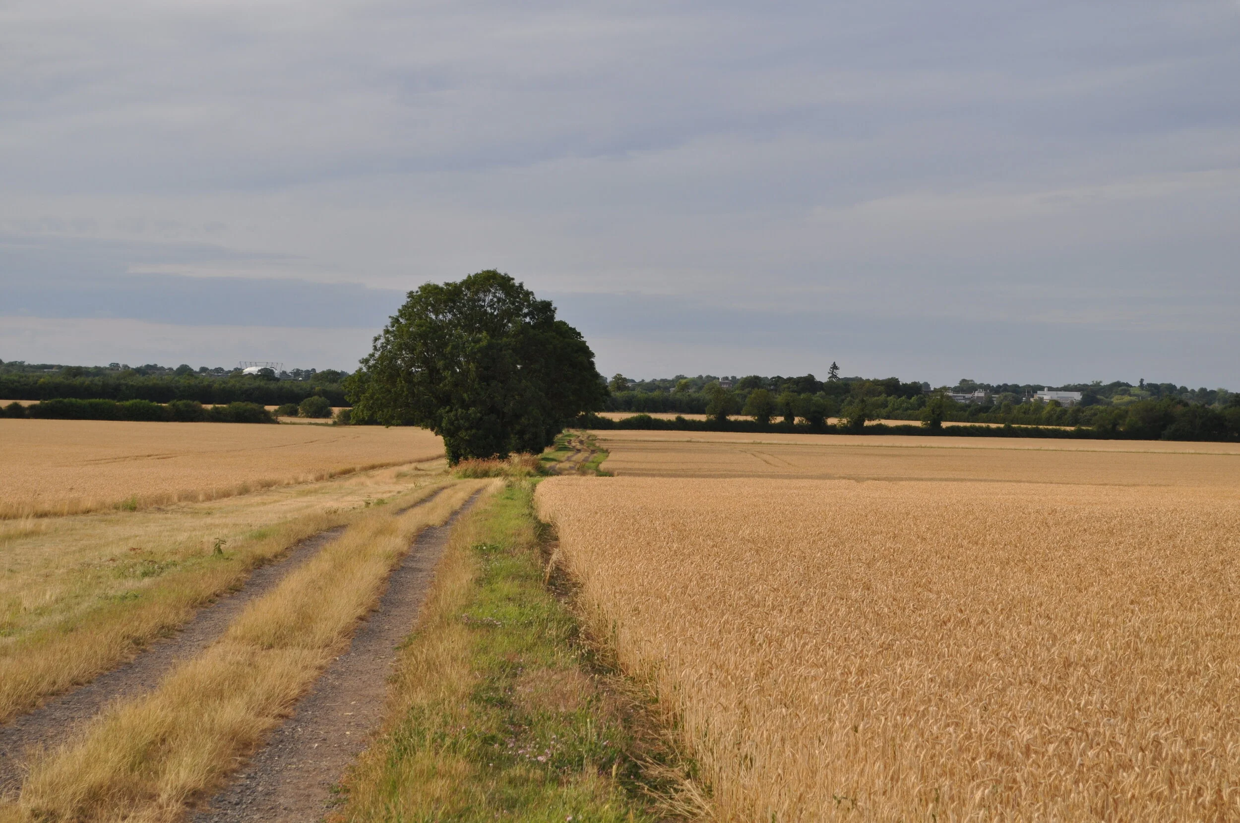 Trumpington Estate