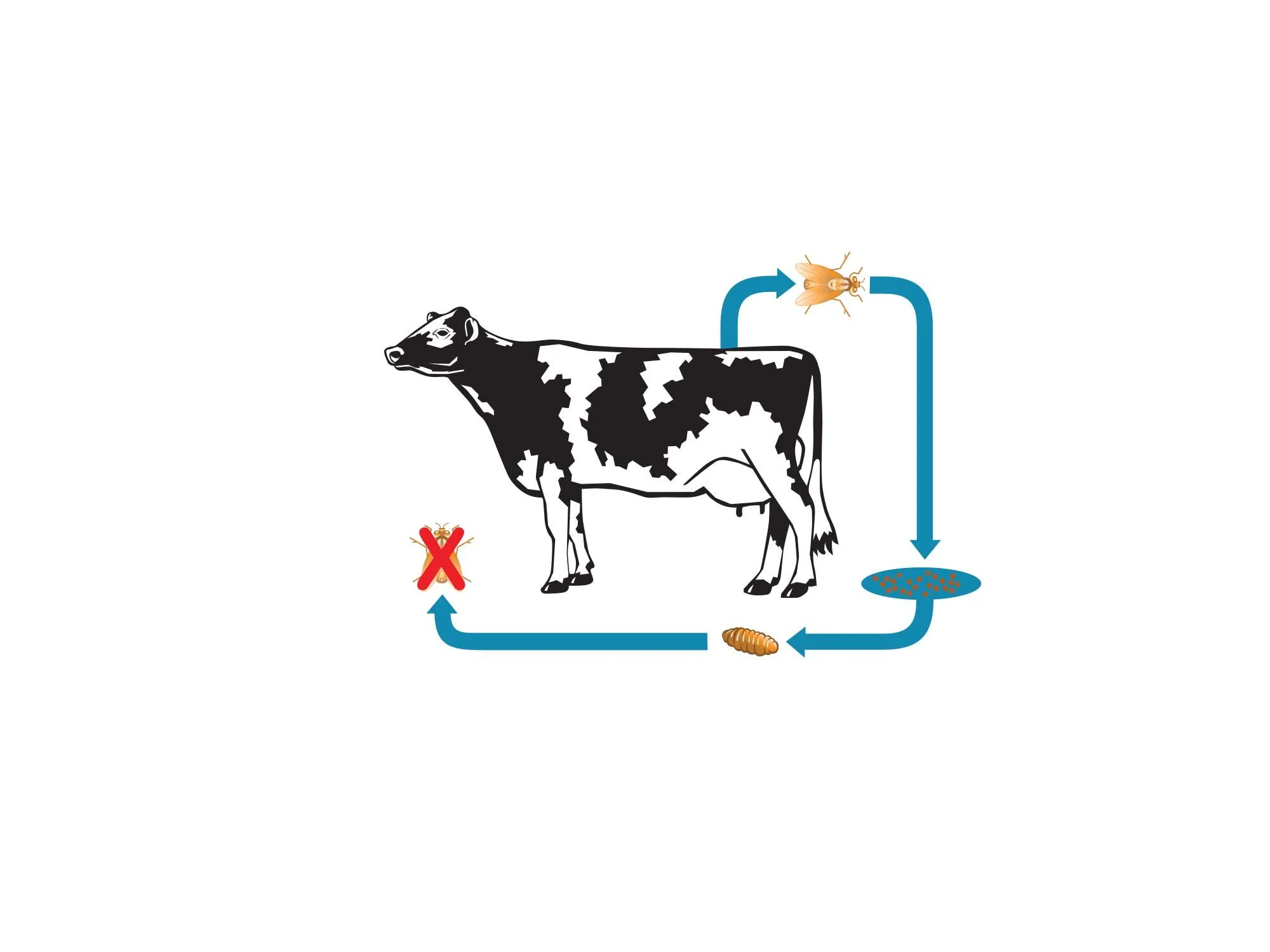 New Spray Dryer Enhances Our Commitment to Quality - Strauss Reads