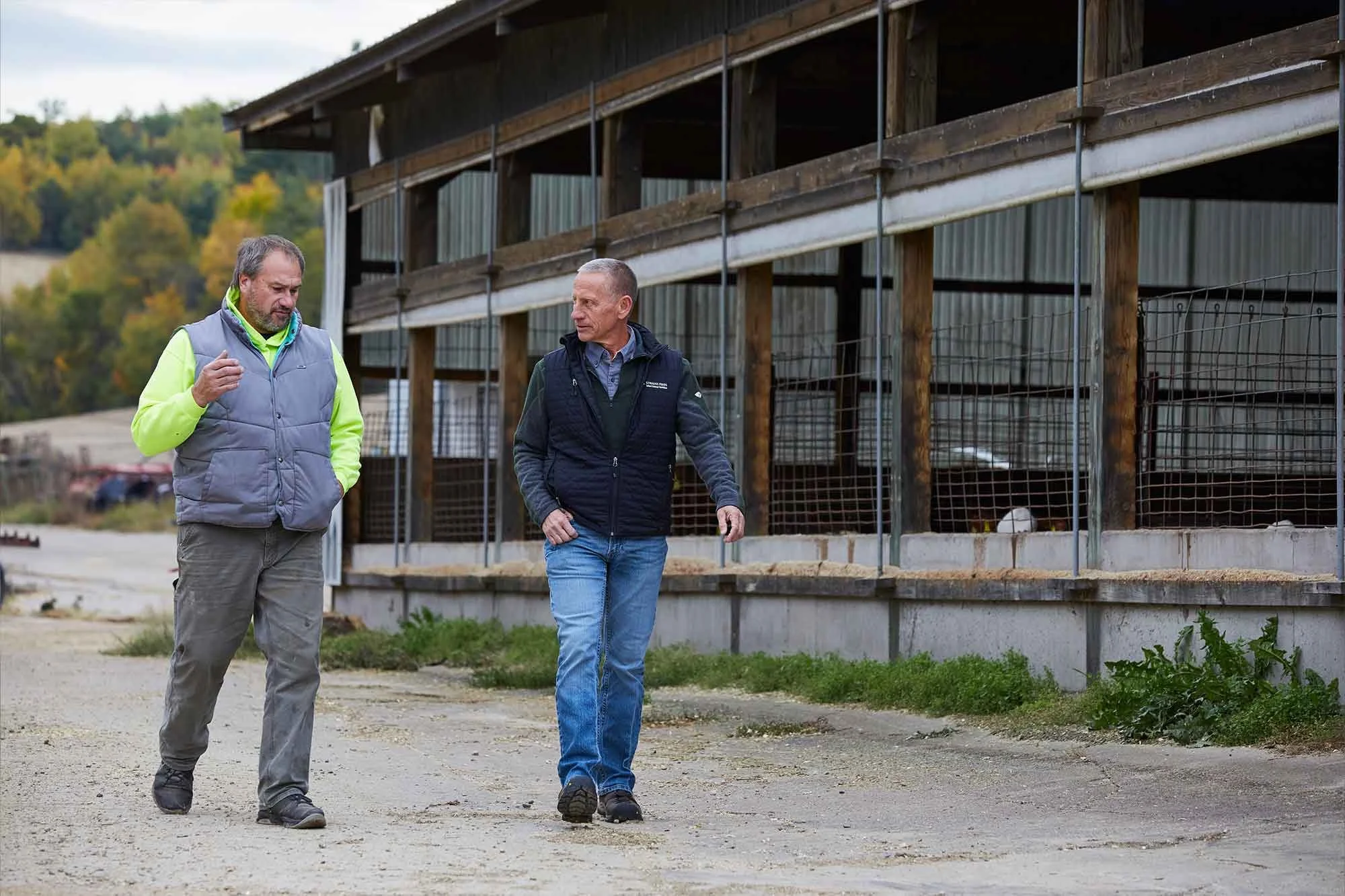 Strauss Feeds - Quality Milk Replacers for Infant Animals