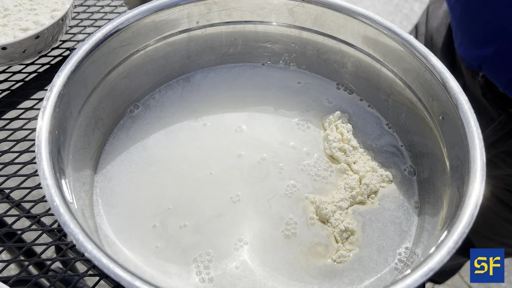 Milk Replacers Built Right for the Job - Strauss Reads