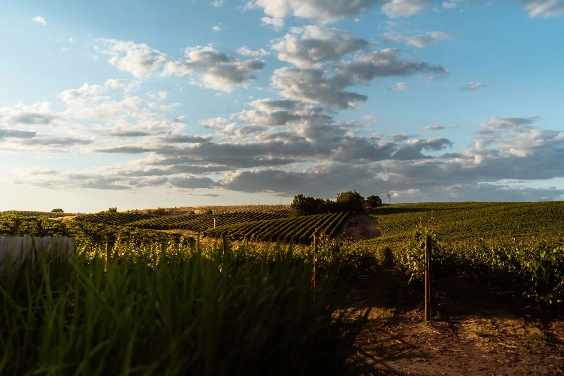 Waterbrook Winery