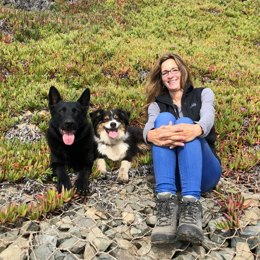 Training — SHAMROCK.DOG