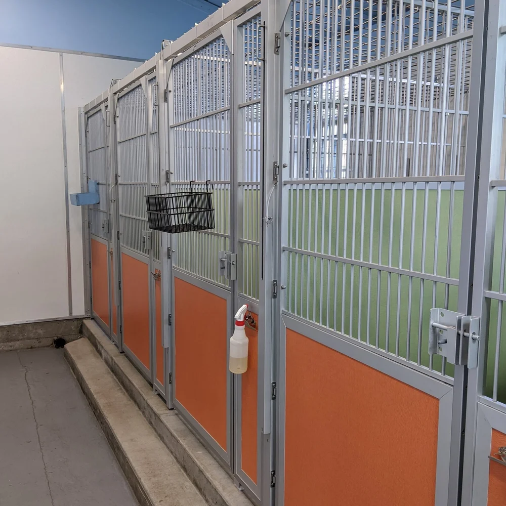 Boarding — SHAMROCK.DOG