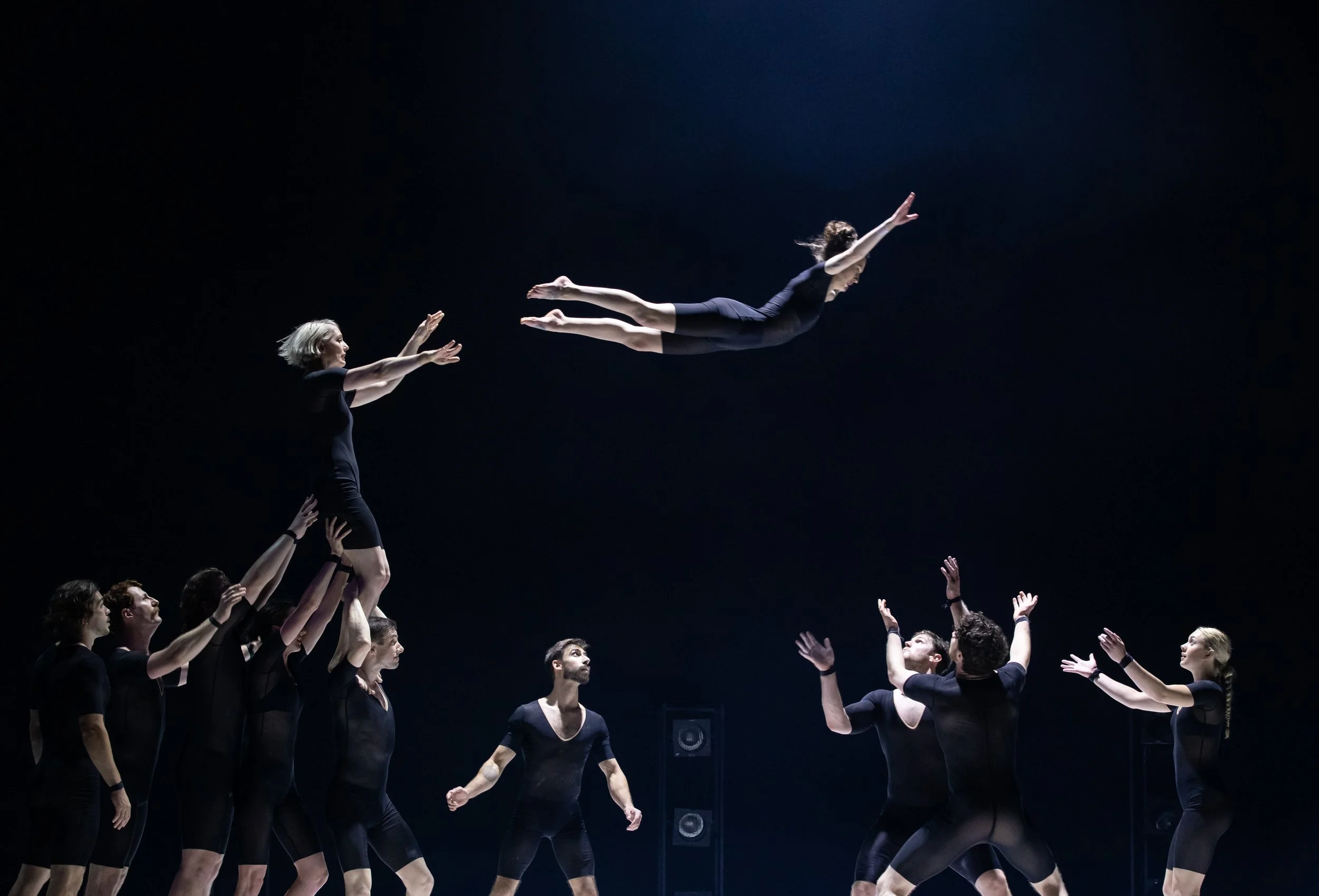 Circa Launches High-Flying Spectacle to a New Level