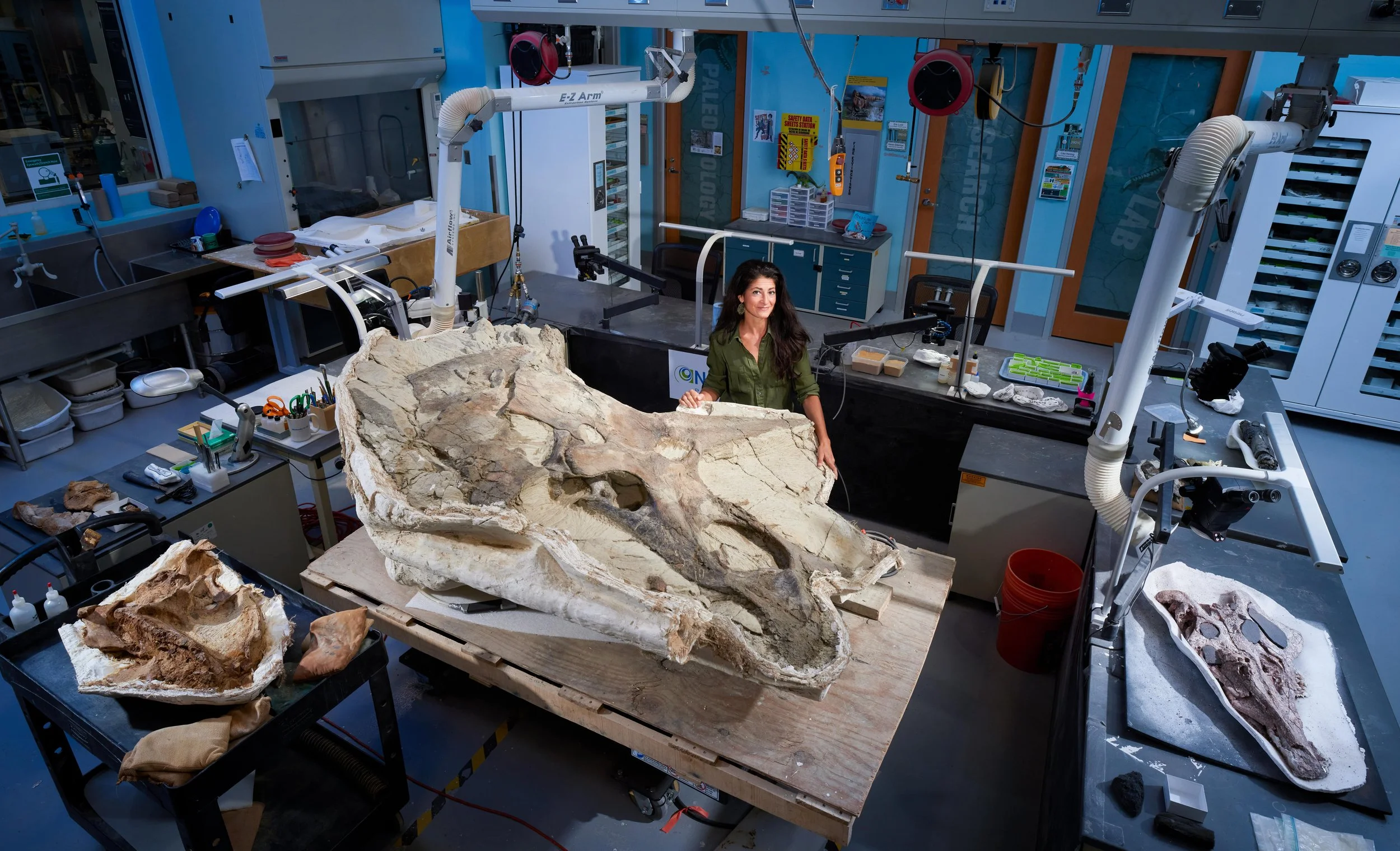 Breaking Ground - Lindsay Zanno Trailblazes the Future of Paleontology by Stepping into the Past