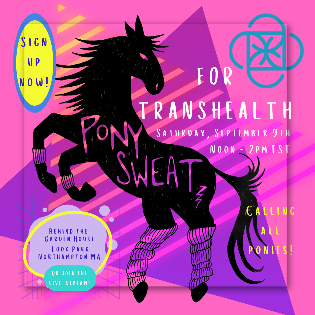 Pony Sweat Aerobics