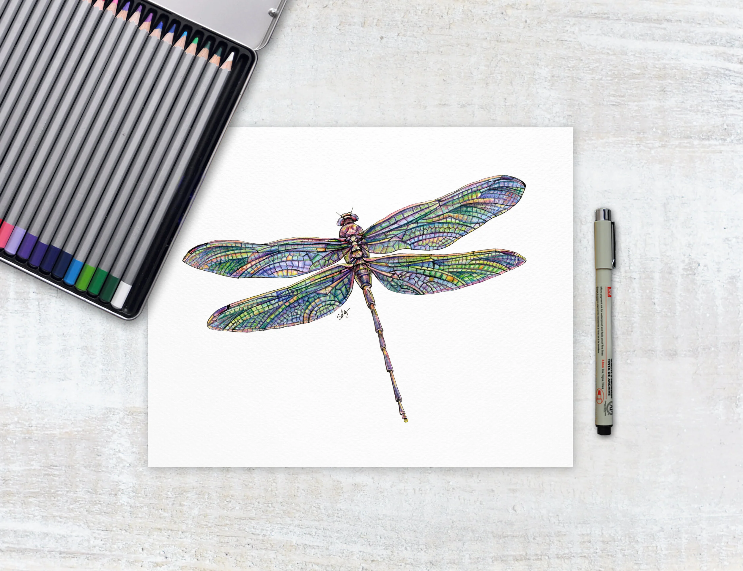 Dragonfly Art Print — Stephanie Darlene
