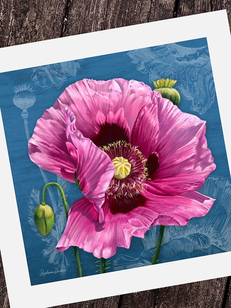 Pink Poppy Flower Art