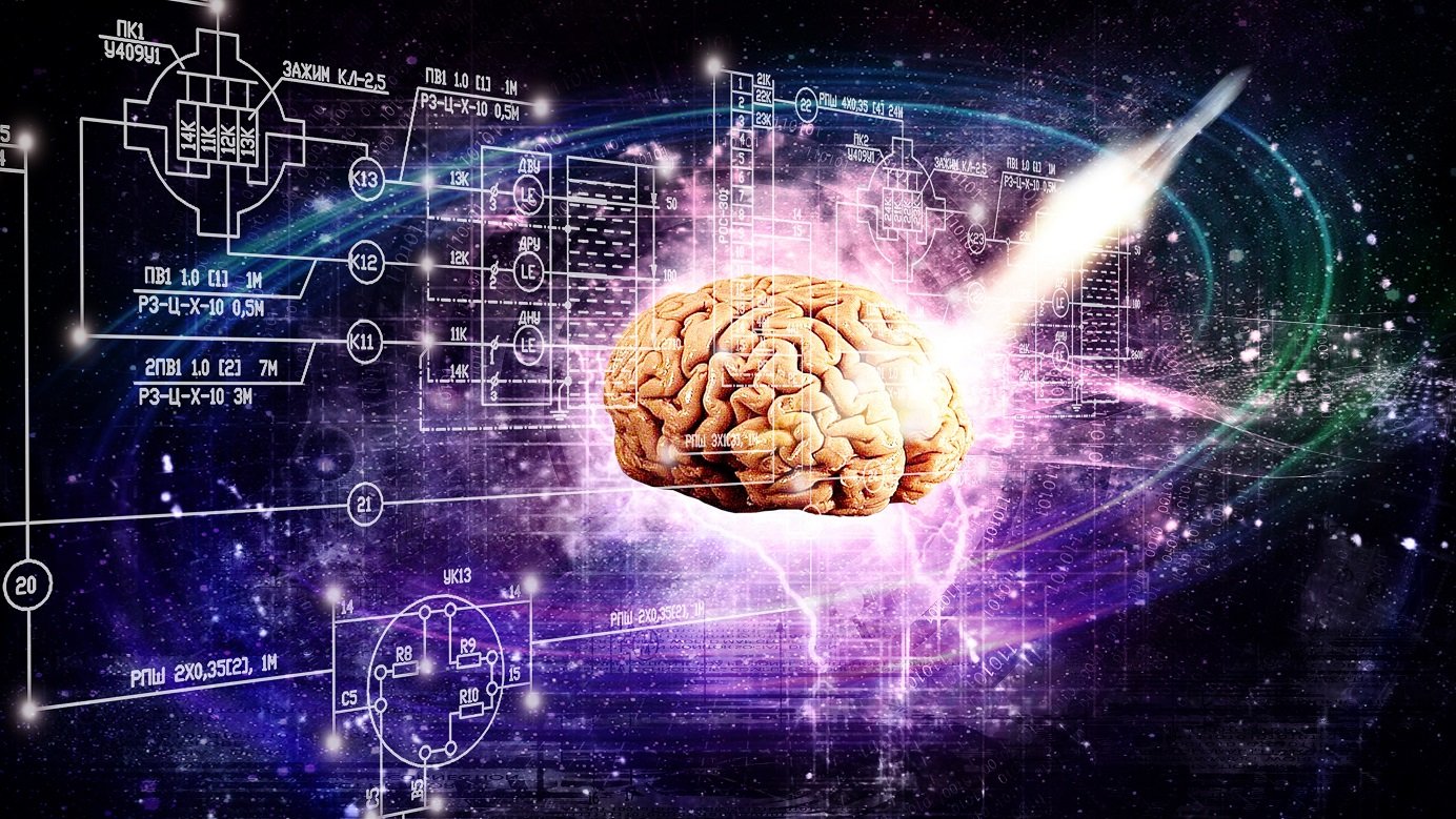 Alexander Brosda Explains: The Brain-Gut Connection and Healthy Skin ...