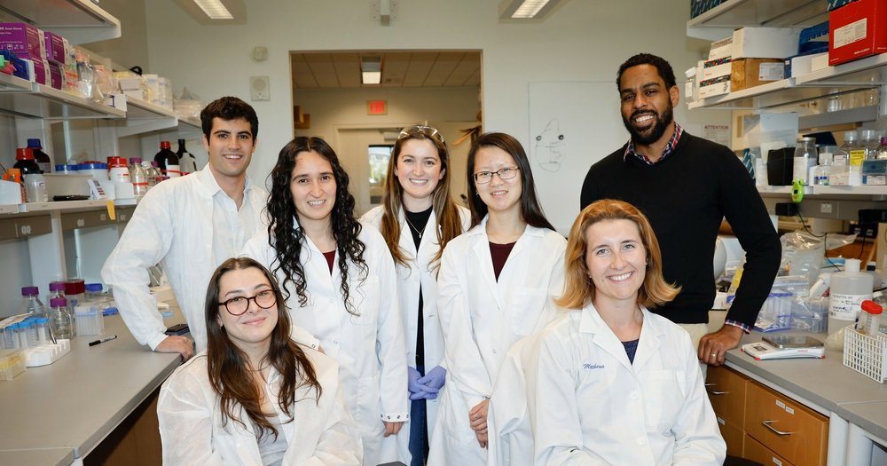 General 2 — The Lewis Lab