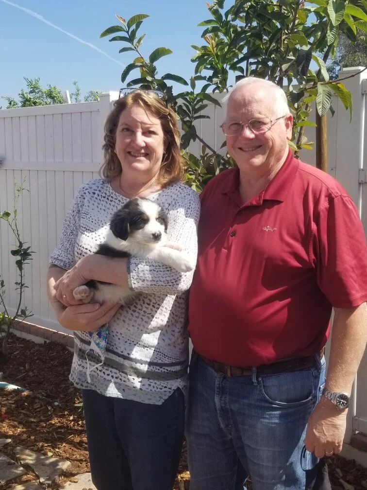 Red Forrest Australian Shepherds - Aussie Puppies For Sale