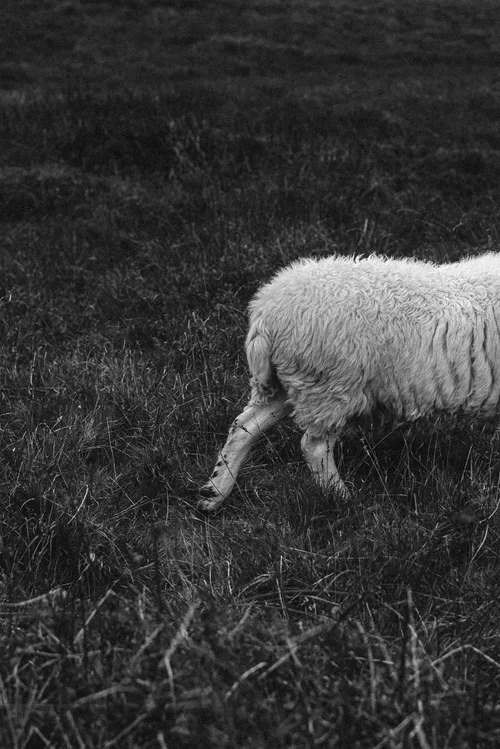 Aitches' Creative Dept.