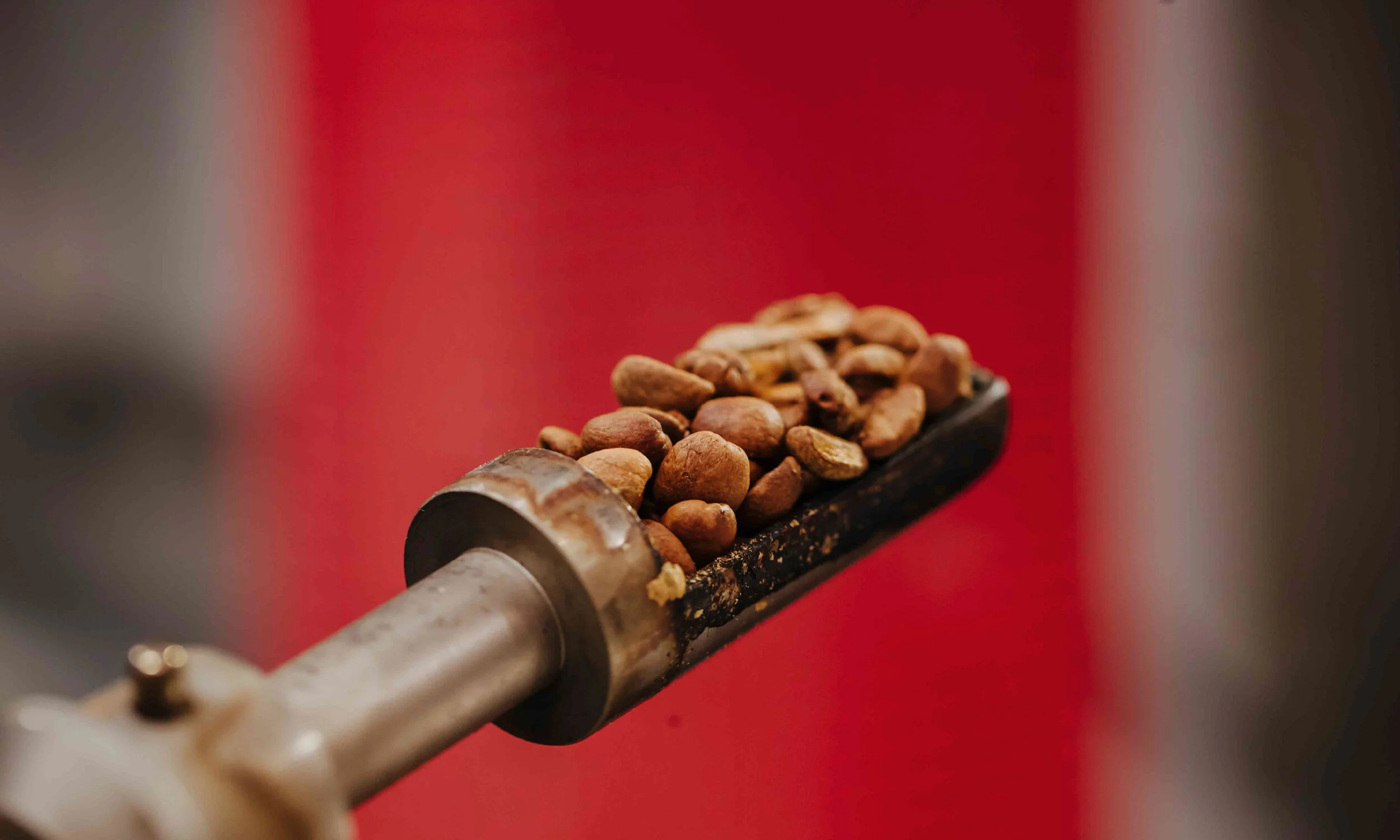 Specialty Contract Coffee Roasting and Green Bean sourcing.