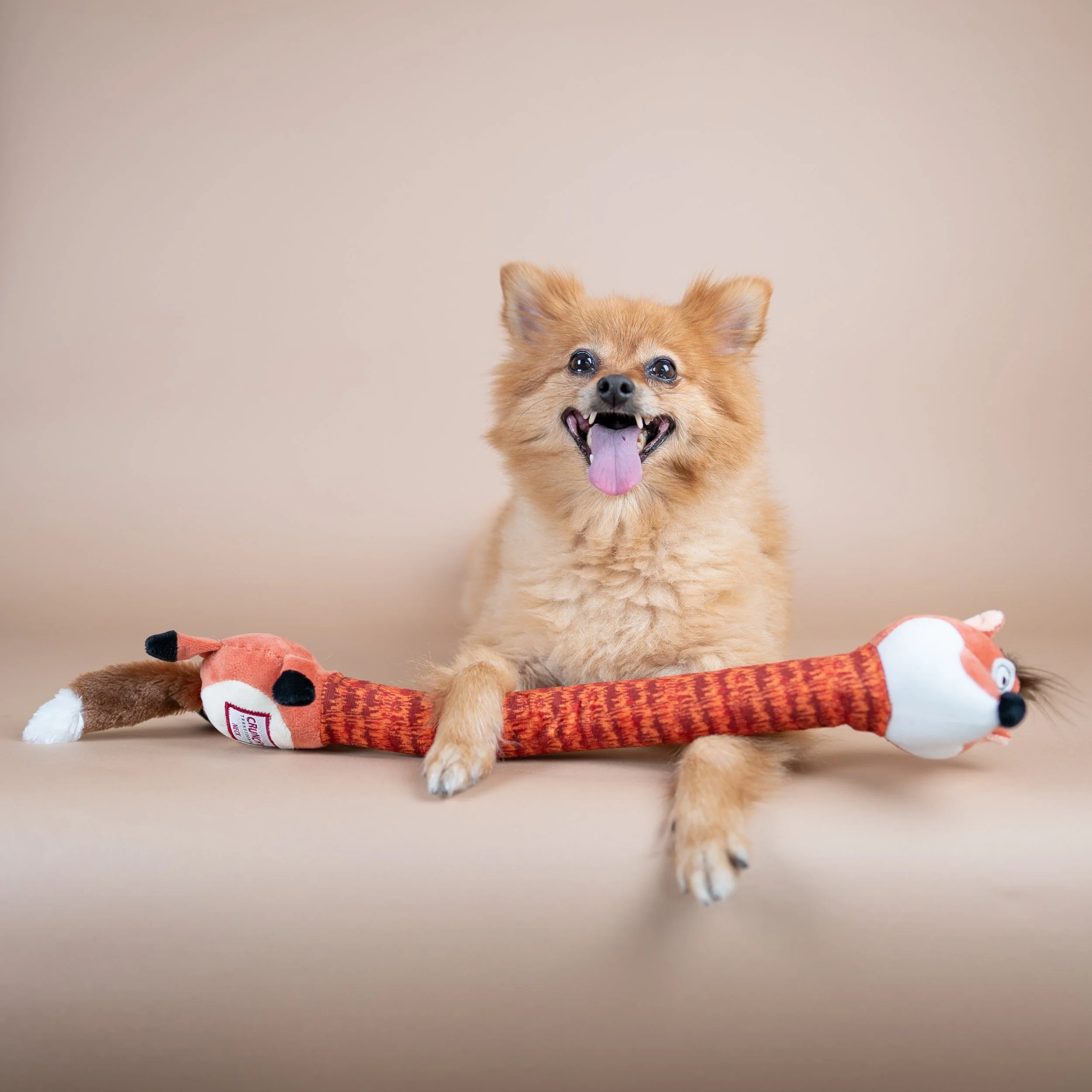 Pet Pavilion - London